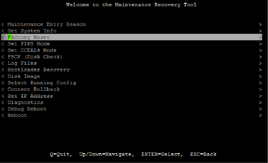 View of Factory Reset option