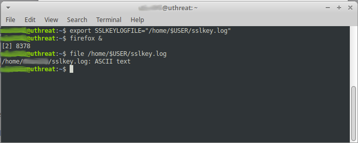 Verify that the sslkey.log file has been created.