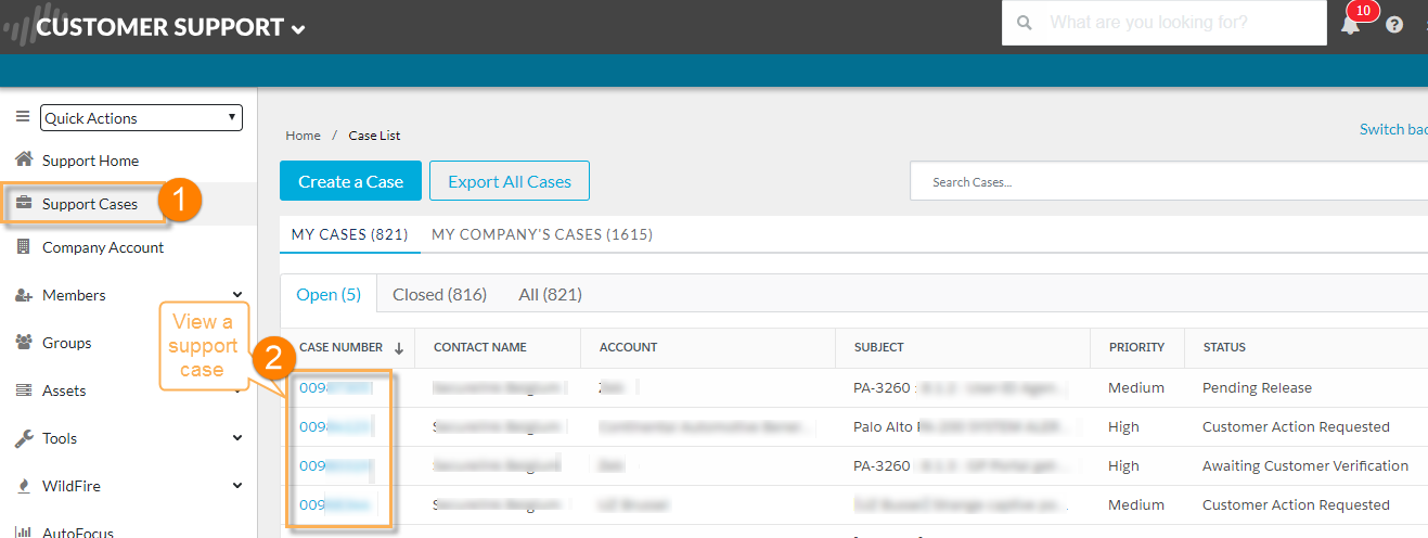 Customer Support Portal Page - Support Cases window