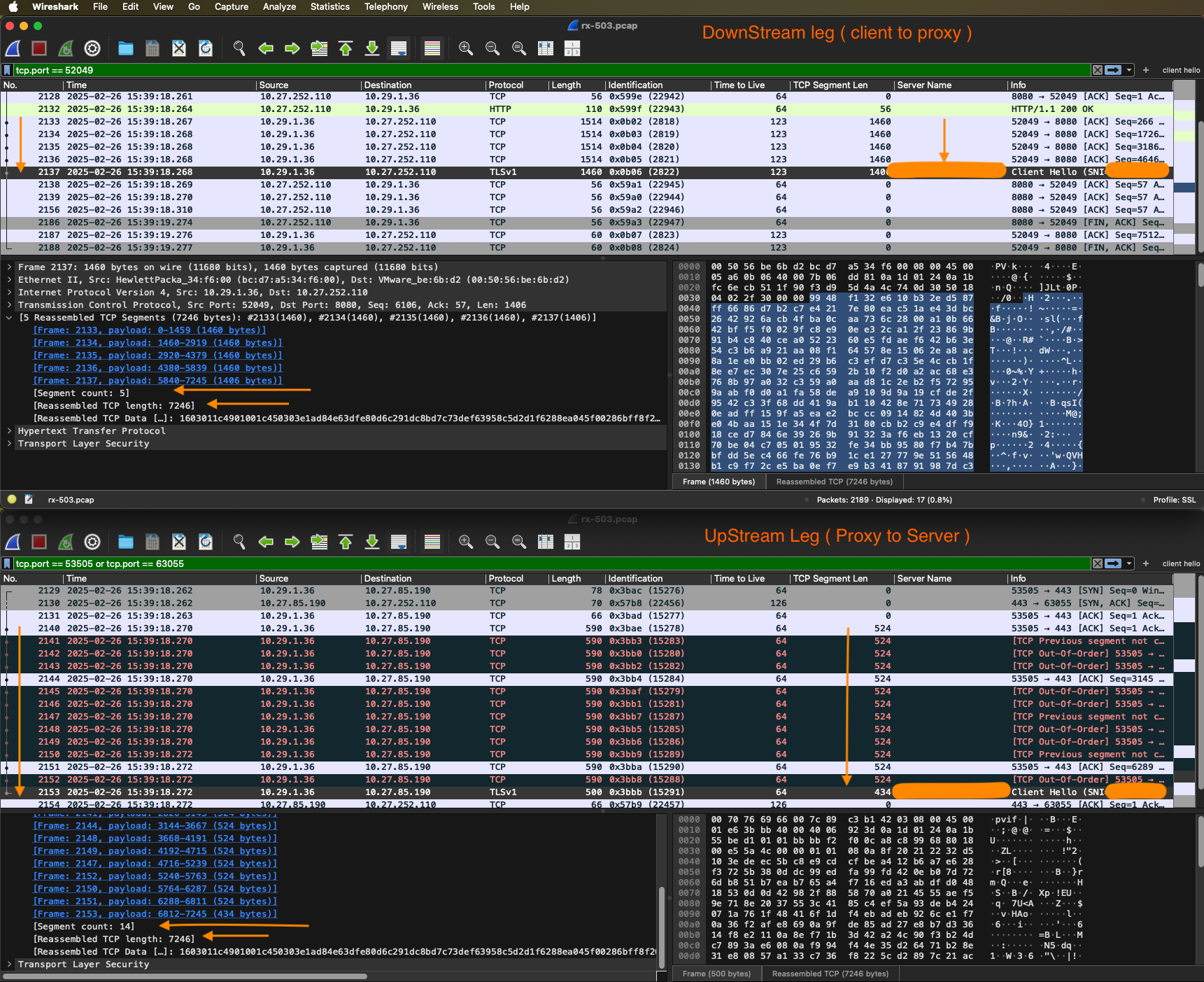 Other users also viewed: